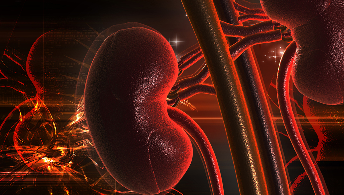 Registry Data Hint at MACE Benefit With Renal Denervation | tctmd.com